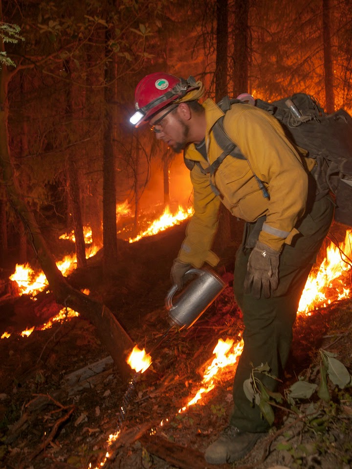 THE LAGUNA INTERAGENCY HOTSHOT CREW: Back Home
