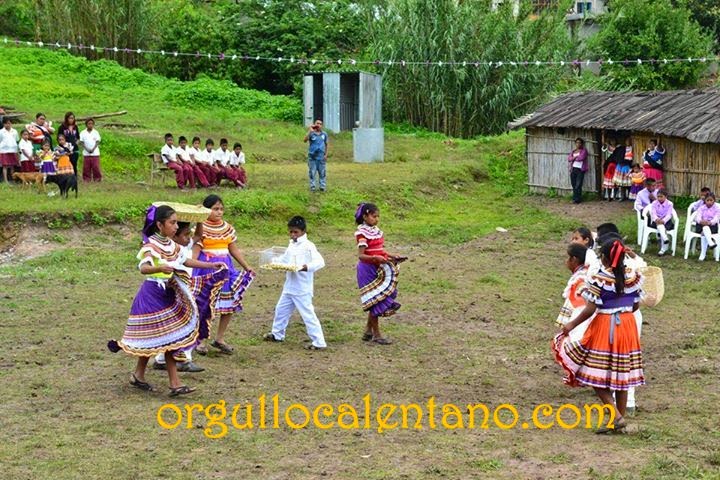 Soy de Tierra Caliente: Los grupos indígenas parte de nuestra historia