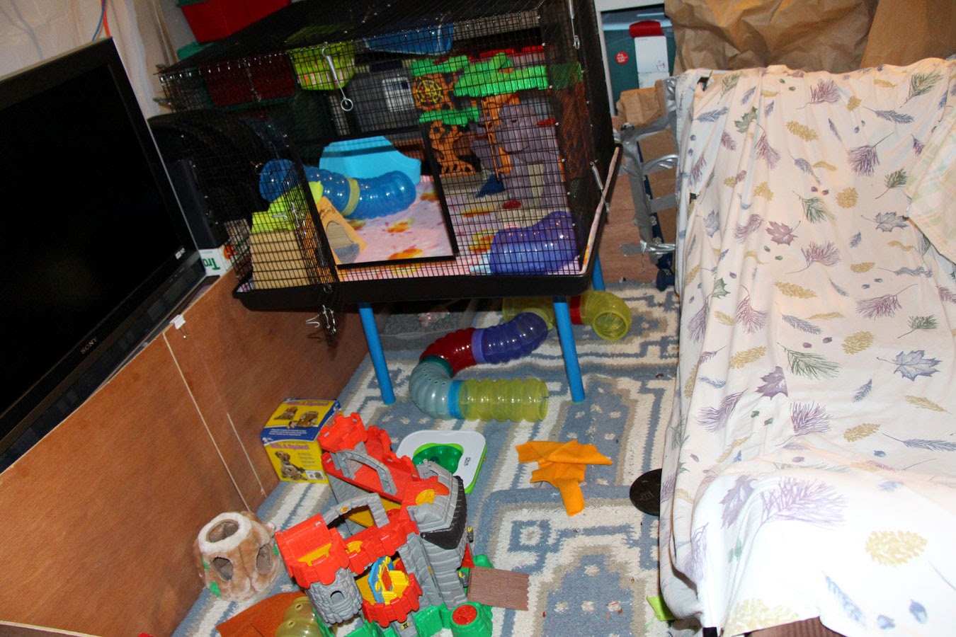 Ratropolis: Rat Safe Play Areas