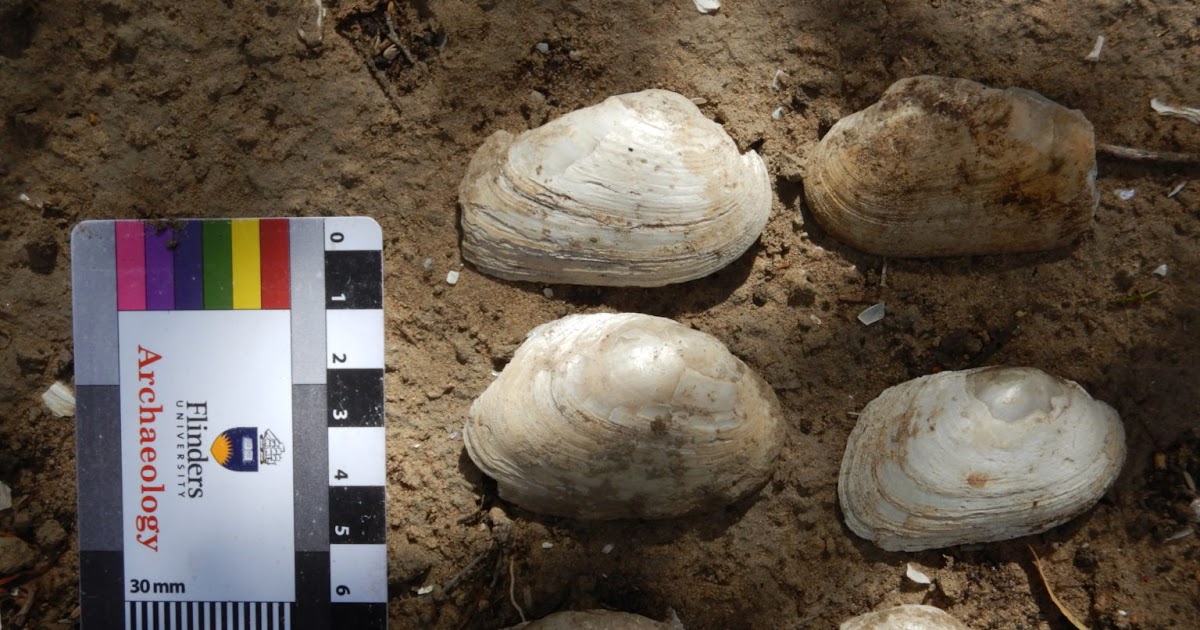 Rosa Rubicondior: 29,000 Years of Australian Aboriginal History