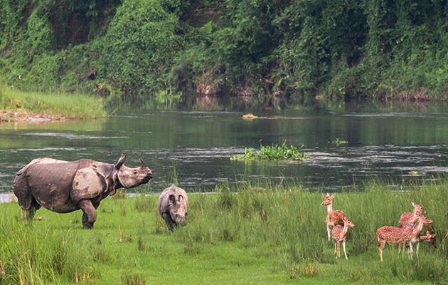 Chitwan National Park