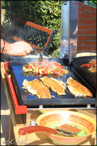 Behind the French Menu: The Plancha or Planxa in French Cuisine. The ...