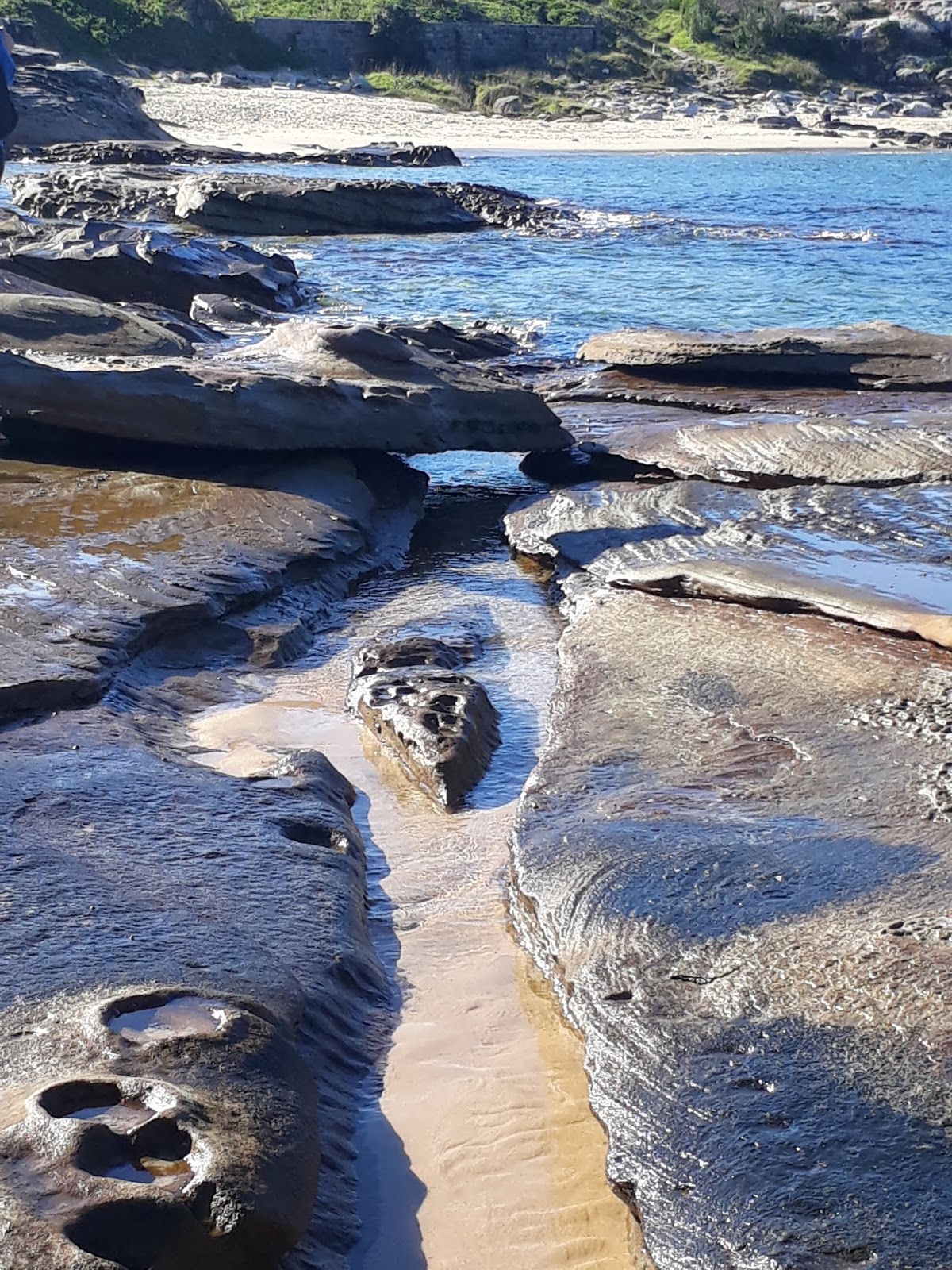 a hopeful nature: Lovely Little Bay Beach