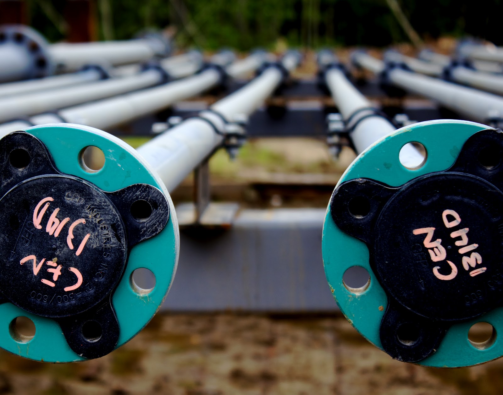 Lance Cardinal Creations: 08/17/12