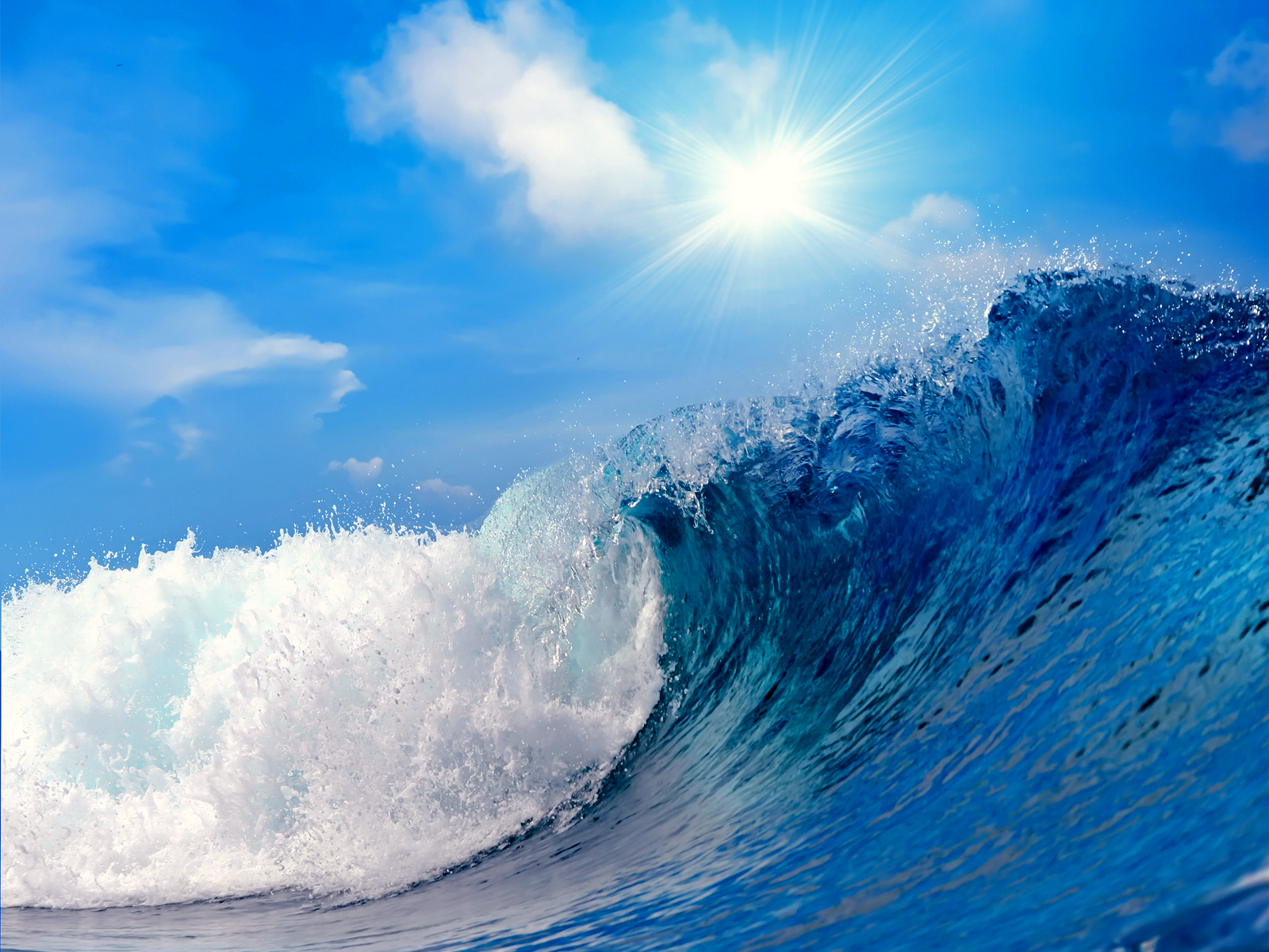 humans have bacteria types like blood types, the big wave wallpaper ...