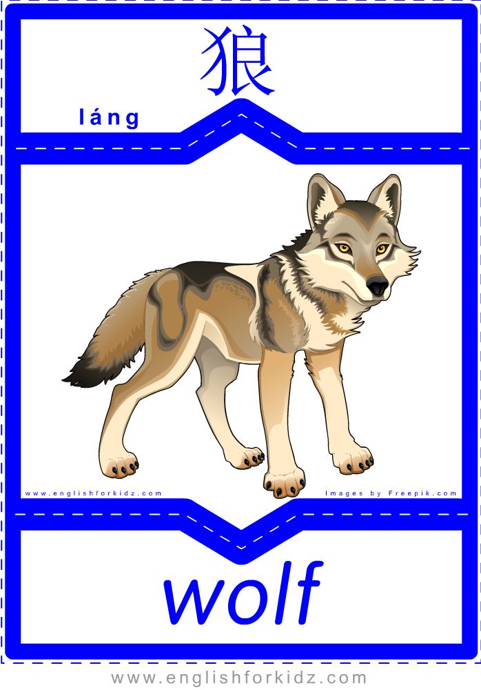English-Chinese Flashcards: Wild Animals. Part 5.