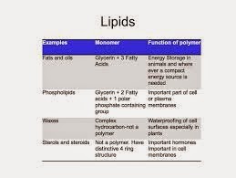 Types of Lipids and their functions - Summarized biology by Tashenka Ninel