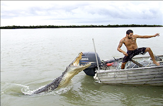 Crocodile World Blogger: The Simple Ways To Avoid Crocodile Attack