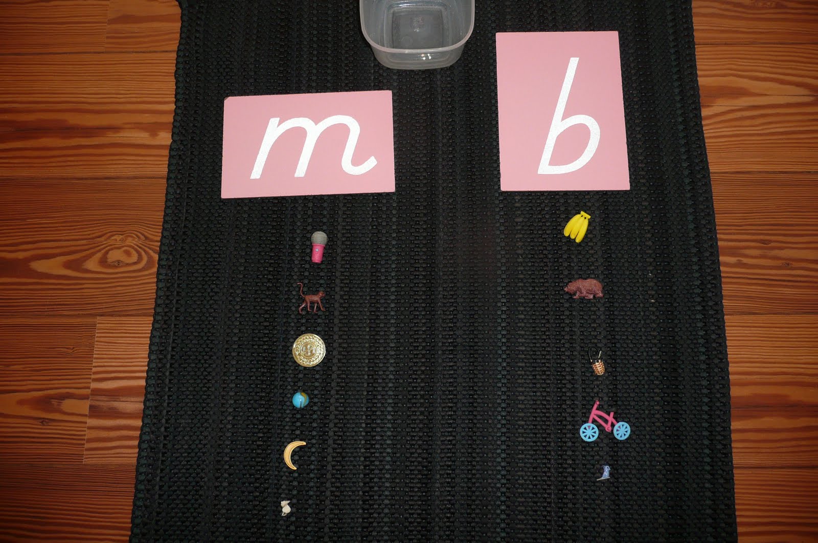 Montessori Teachings: Phonemic Awareness