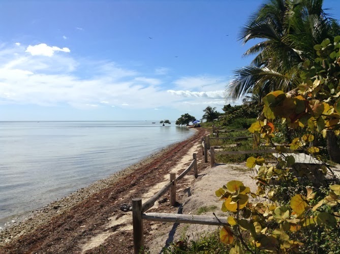 Julie's State Parks: Long Key State Park (Florida Keys)