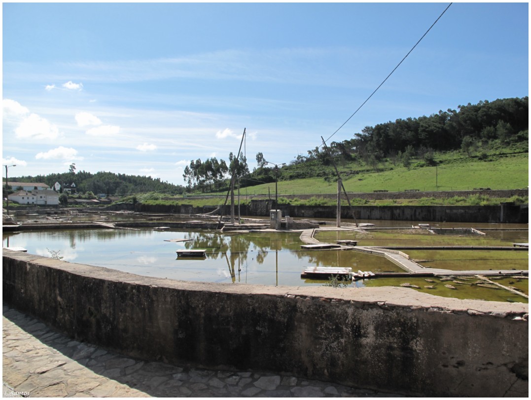 Photos all over the World - Fotos do Mundo: Salinas de Rio Maior
