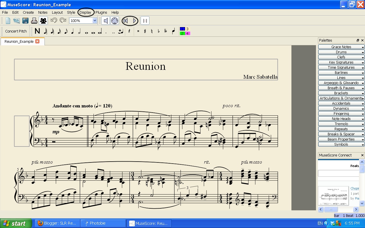SLR Recorder Ensemble : MuseScore
