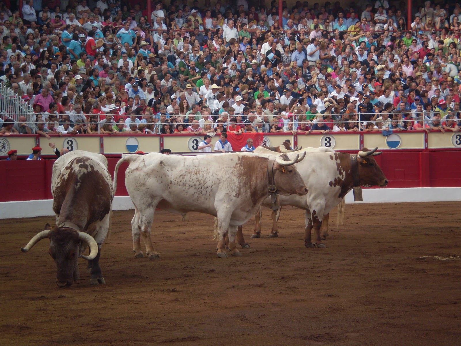 torosantander: A LOS TOROS