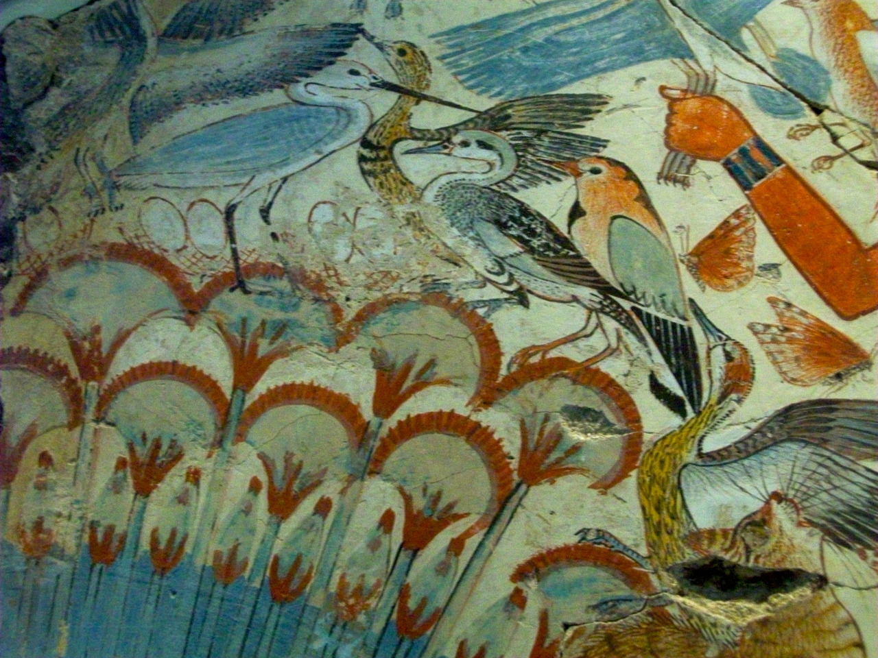 Cristogallary: Fowling Scene-(කුරුළු දඩයම)