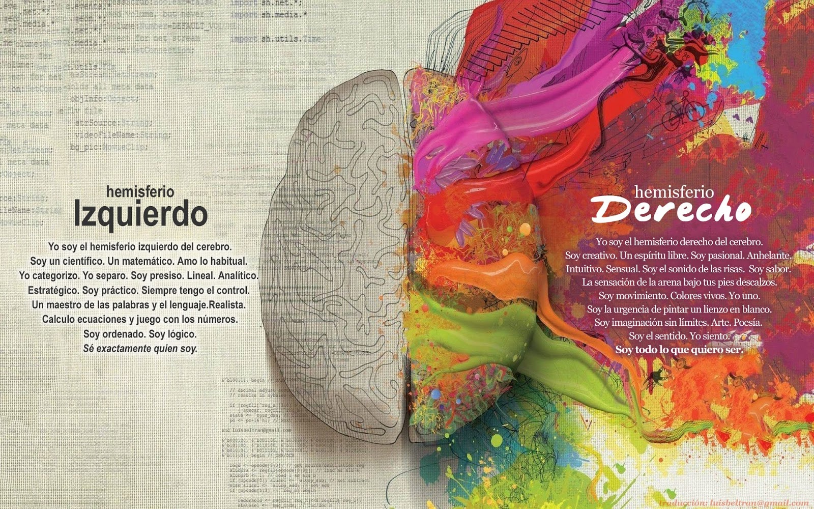 Concha Coach: Hemisferio Derecho - Hemisferio Izquierdo