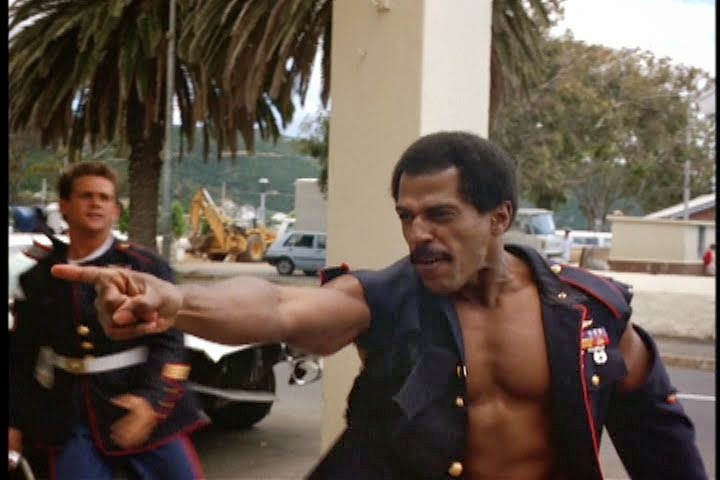 Steve James American Ninja