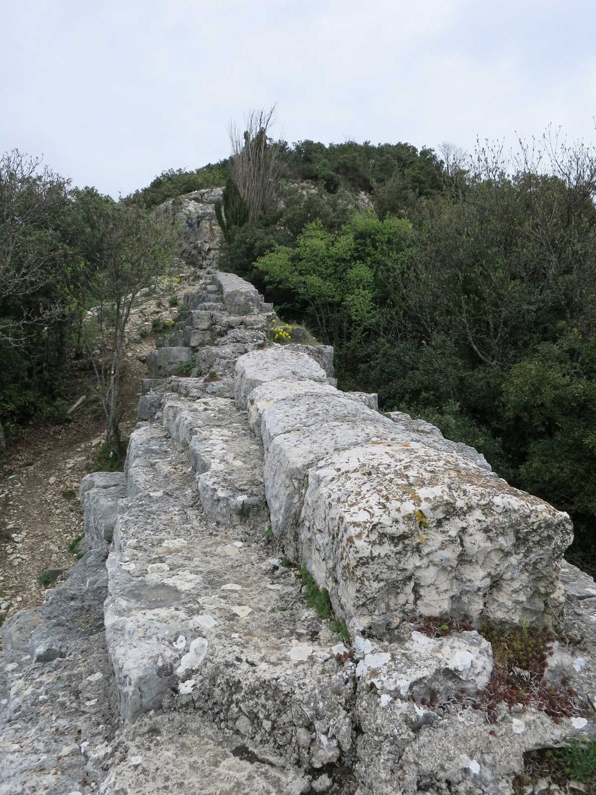 Itineris Mei: Monte Pietralata - Ascesa alla Testa del Duce