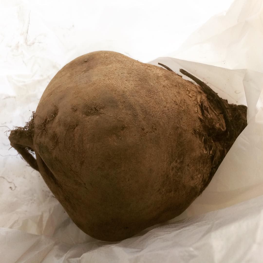 Our Adventures in Japan: bambucha