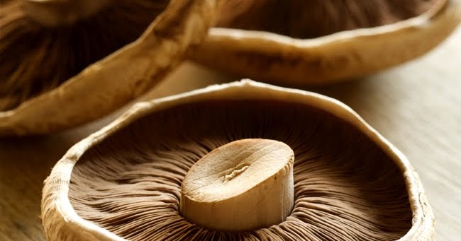 Portobello ~ Gran País