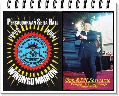 SH TUNAS MUDA WINONGO | Persaudaraan Setia Hati
