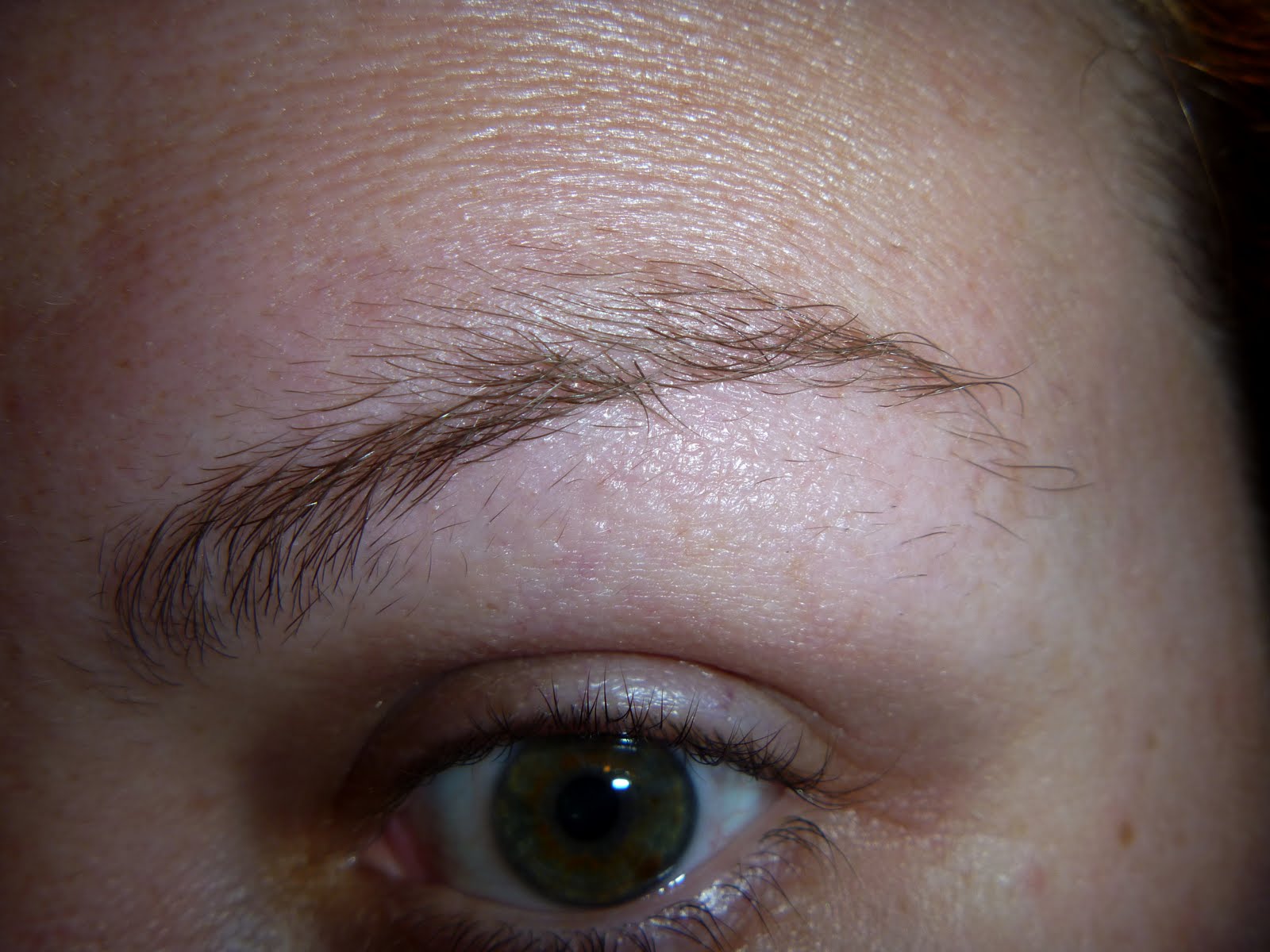 Glitter N' Glam - Makeup By Chrissy: NYX Eyebrow Cake Powder - Review ...