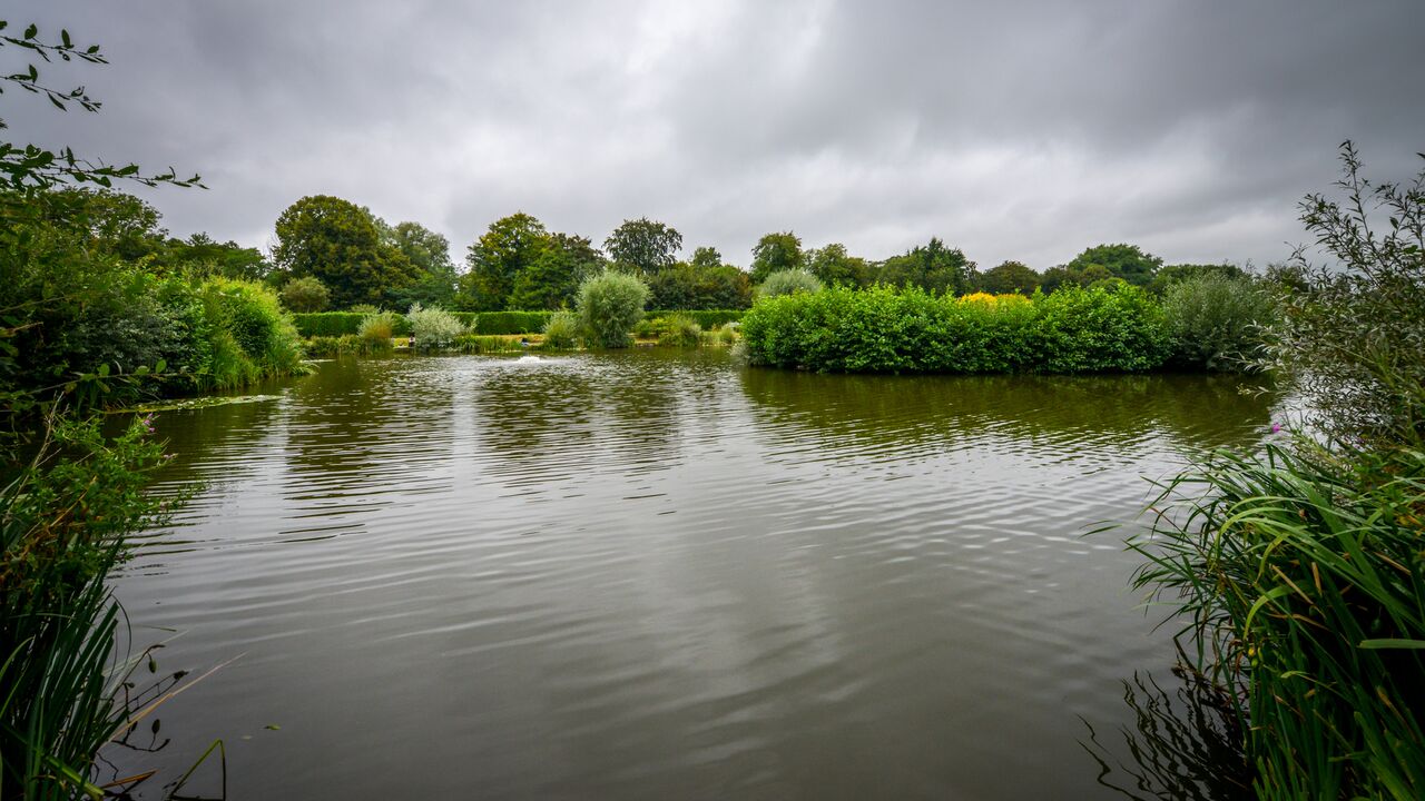 The Fishing Vicar: A (cru) cut above the rest- Marsh Farm fish-in