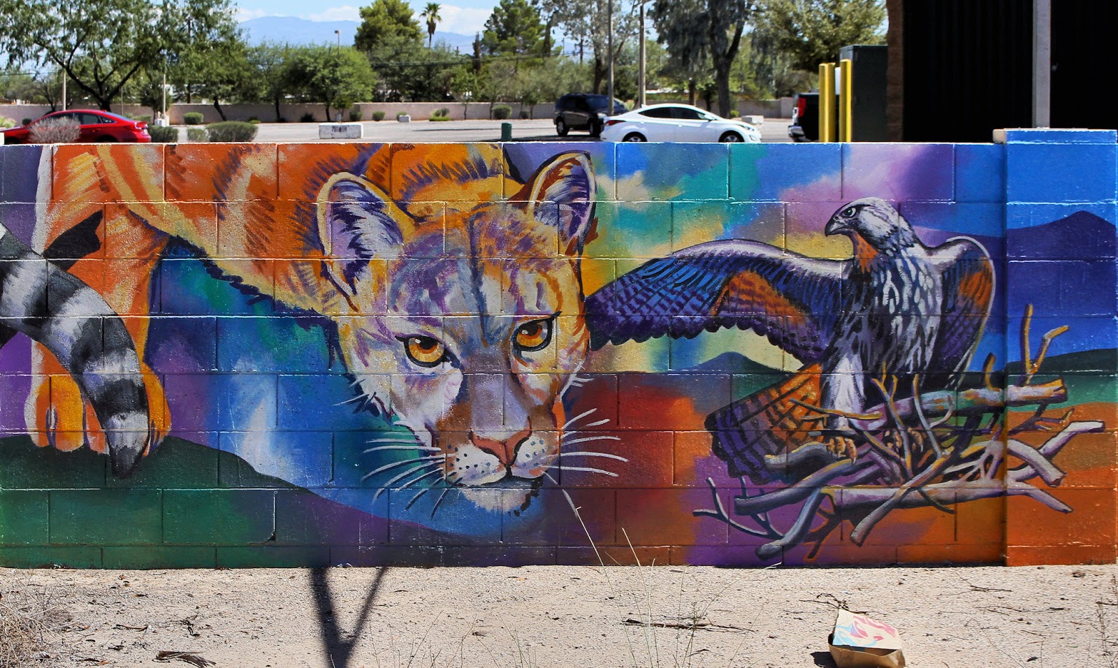 The Tucson Murals Project: Wildlife, 2 of 3