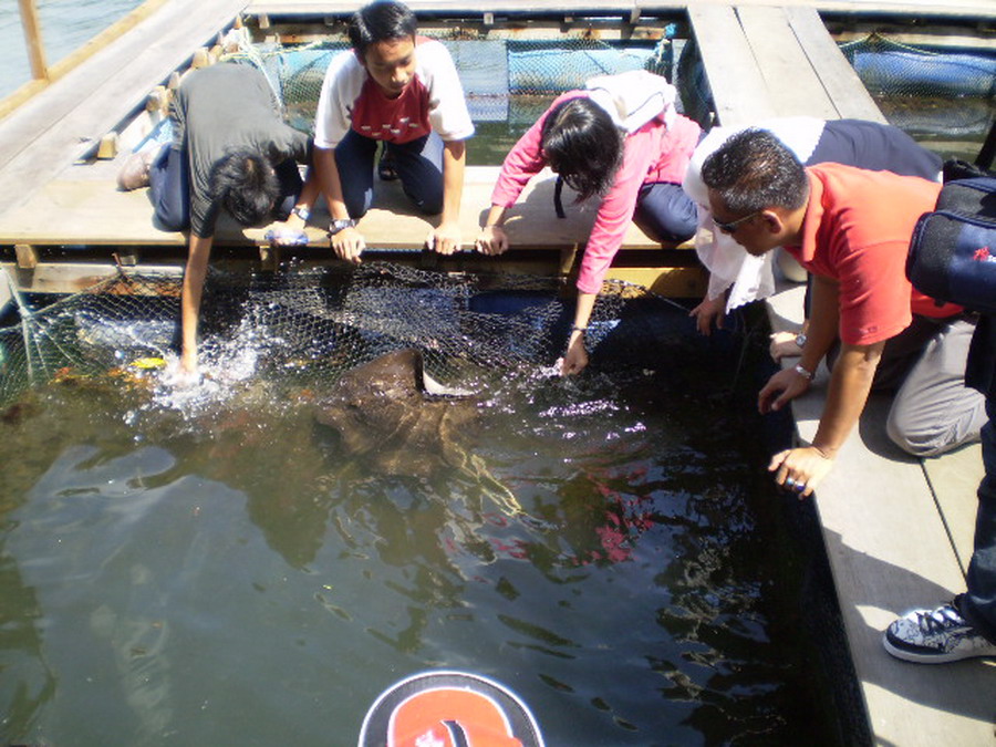 Langkawi Travel & Tour rz_travel Travel : MANGROVE SUNGAI KILIM