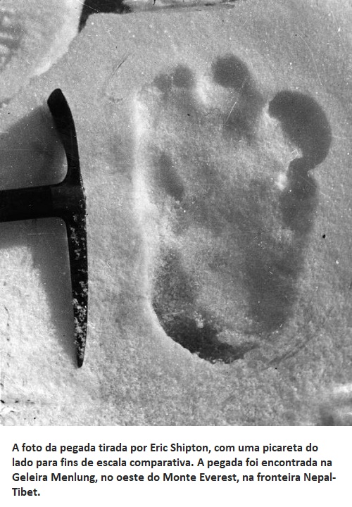 Afinal, o Abominável Homem-das-Neves é uma lenda ou pode ser real ...