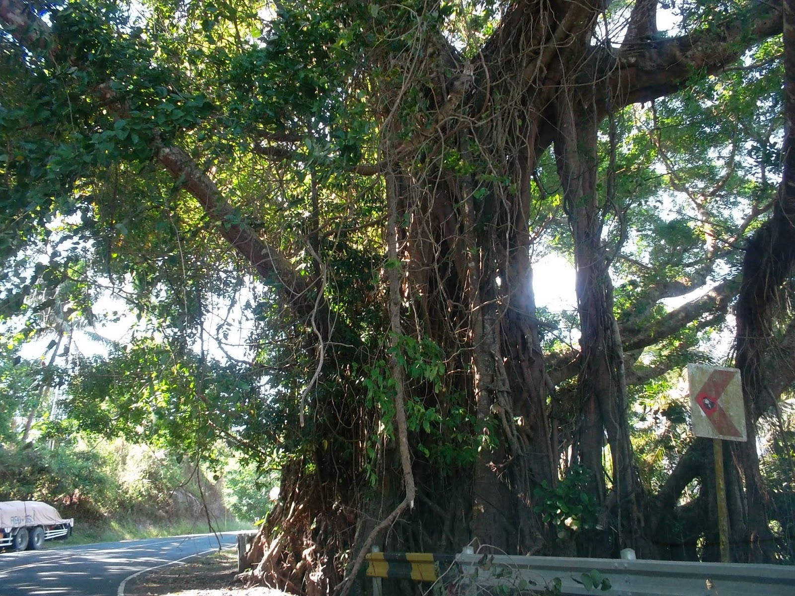 Konted's Make My Day 2: The Dancing Virgin Of Turumba
