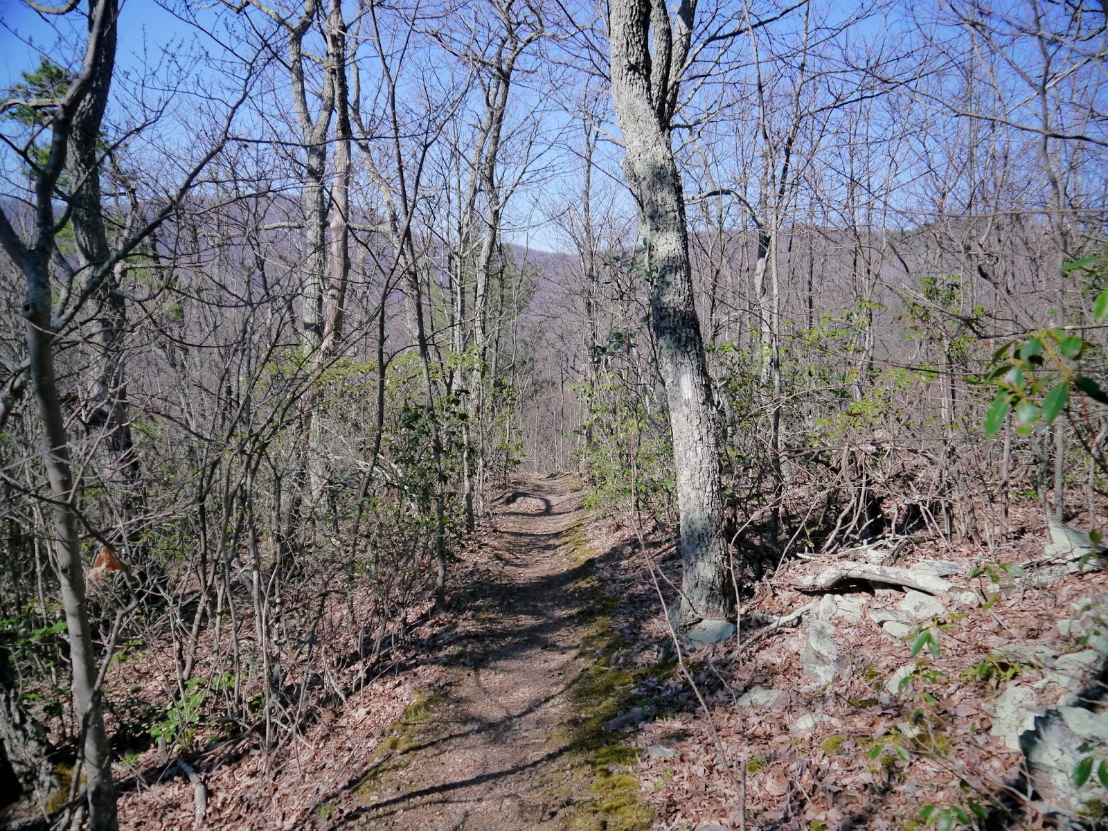 American Travel Journal: Riprap Trailhead to Blackrock Gap ...