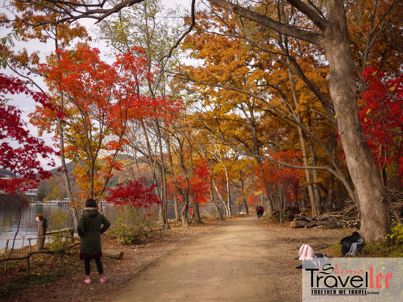Musim Luruh di Korea - Waktu Yang Sesuai Untuk Melawat Korea