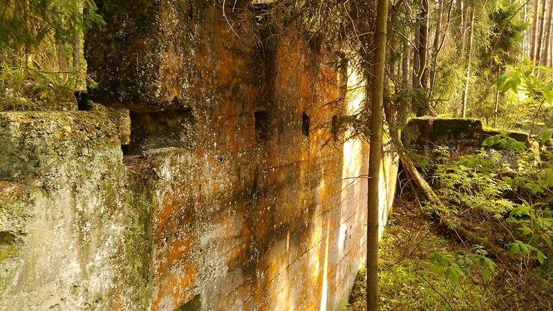 Ostra Góra na piaskowym szlaku