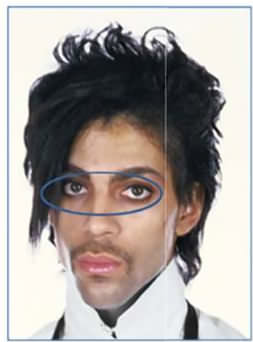 Col. Milquetoast's Blog: Art as a Creative Endeavor : Andy Warhol's Prince