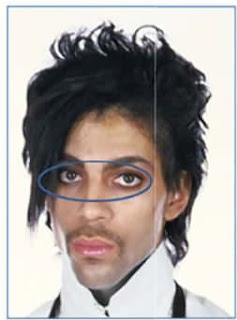 Col. Milquetoast's Blog: Art as a Creative Endeavor : Andy Warhol's Prince