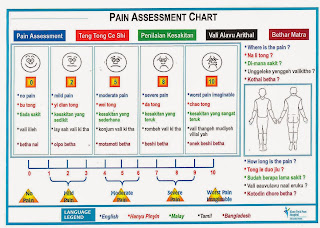 New Emergency Nurse Information Blog: Patient monitoring part 3: pain ...