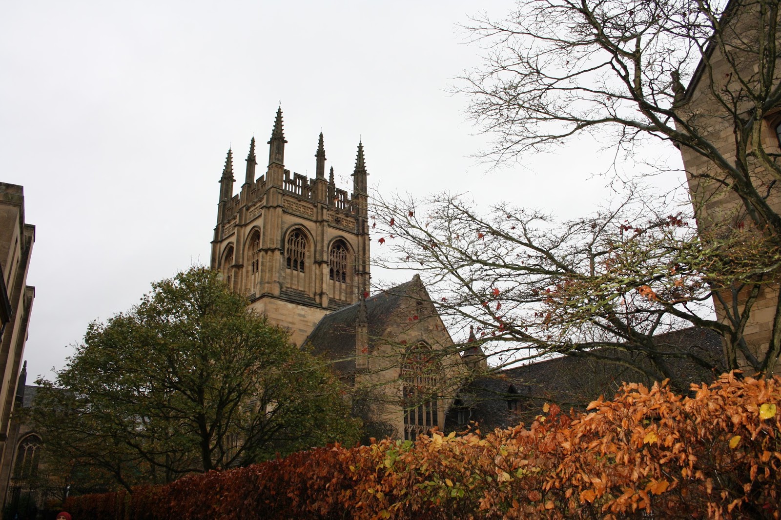 The Romagnolo guy who has gone to England