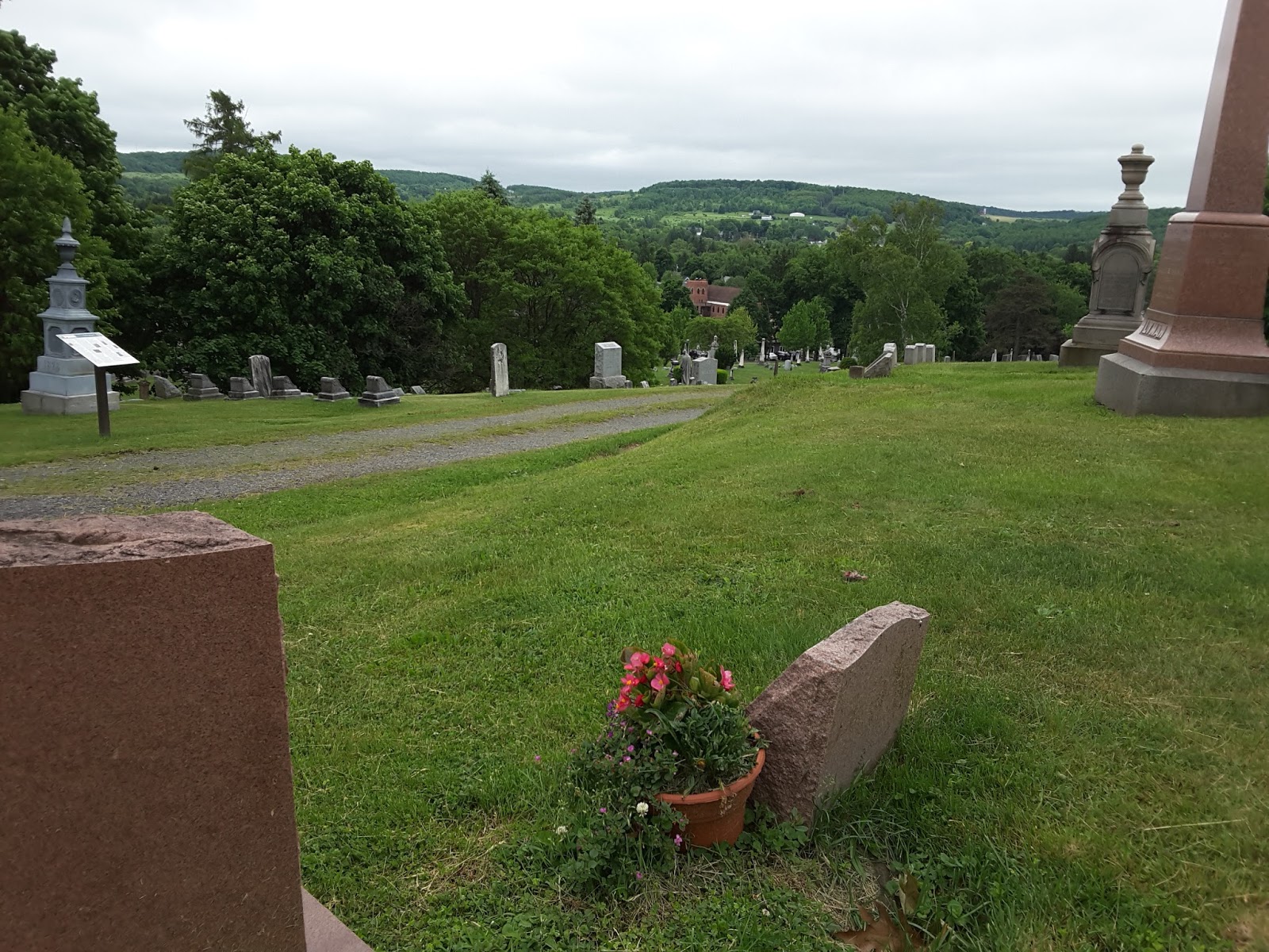 The Science Notebook : Cemetery Series: Death and the Environment
