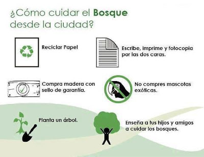 ASOCIACION ECOLOGISTA RIO MOCORETA: CUIDAR BOSQUE desde la ciudad