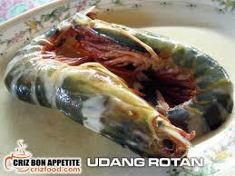 JENIS-JENIS UDANG