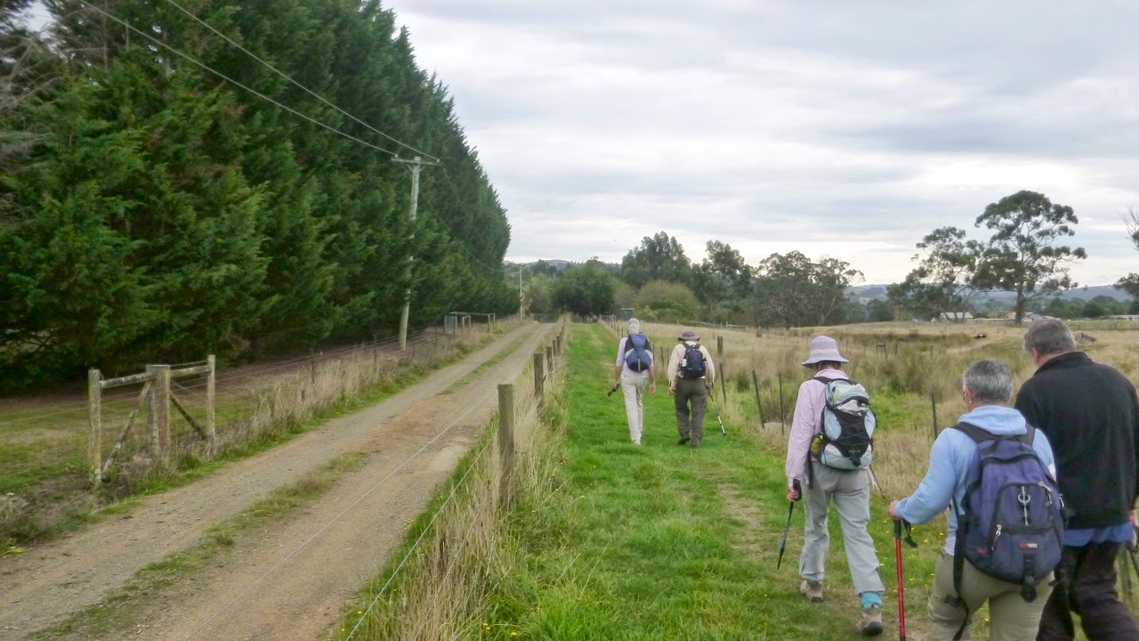 Ramblings: Nierinna Creek – Tramway Hill – Margate Rivulet