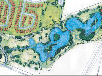 dandelions and concrete