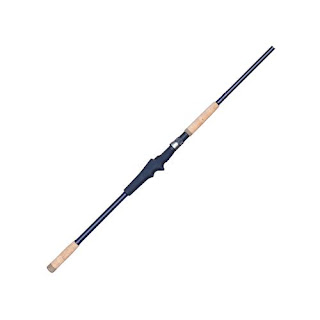 THE FISHING NEWS: TFD BIG FISH RODS