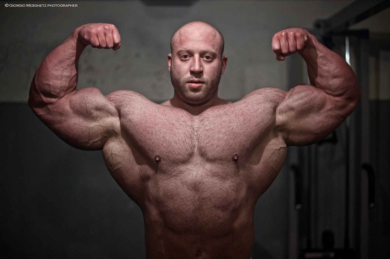 Muscle Lover: Biceps & Biceps by Petar Klancir