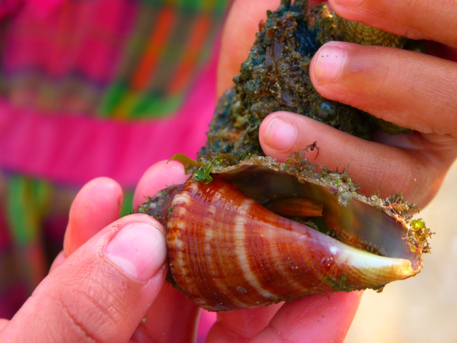 TAMBOBONG SOJOURN - Lakwatserong Tsinelas