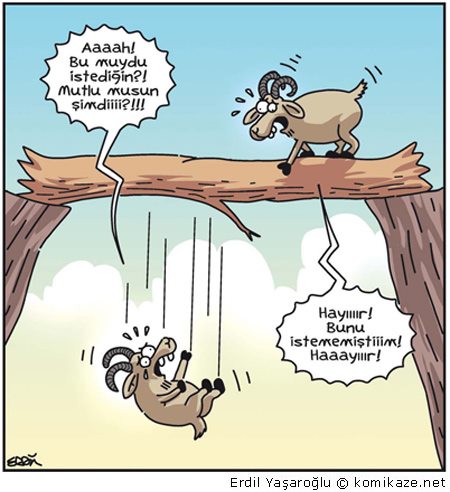 İki İnatçı Keçi