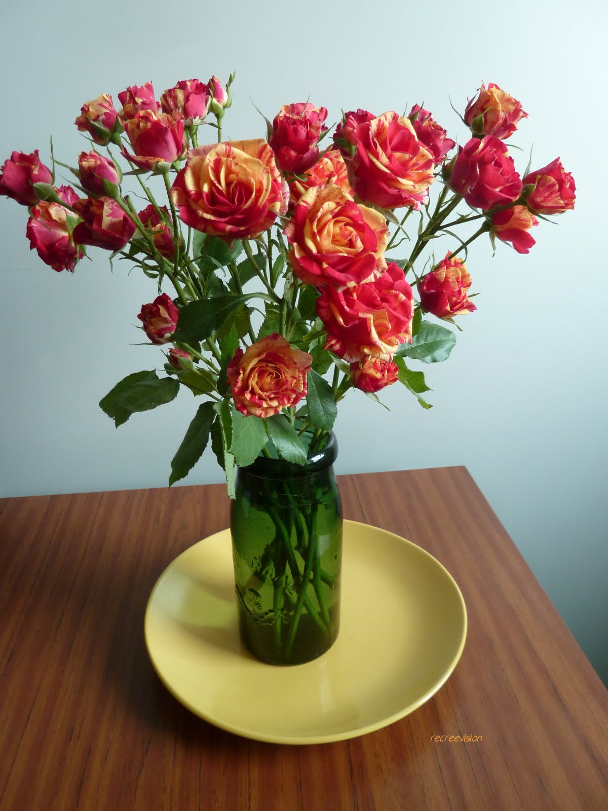 RECREEVISION: des roses bicolores pour cette semaine