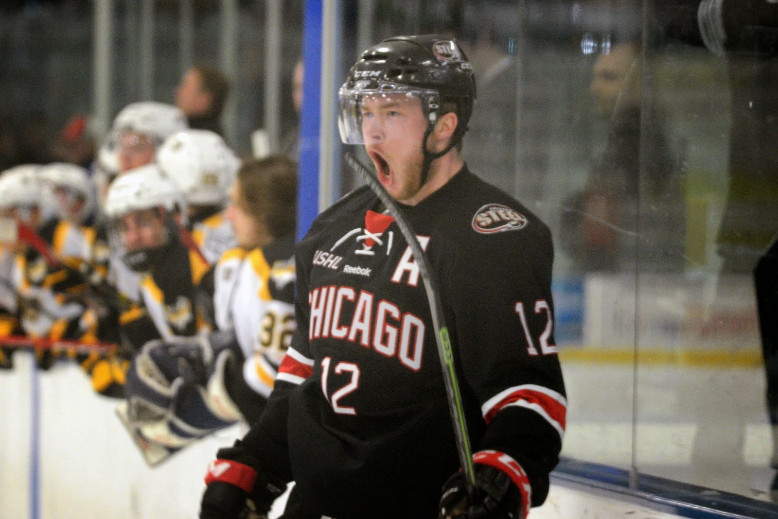 Chicago Steel Hockey