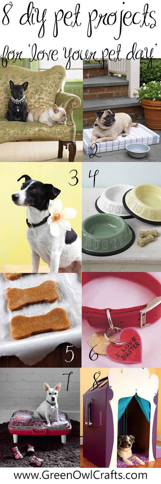 Raising Baitys | A Blog About Life in the Baity Family: { Love Your Pet ...