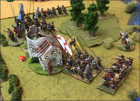 I Live with Cats: We like pike!